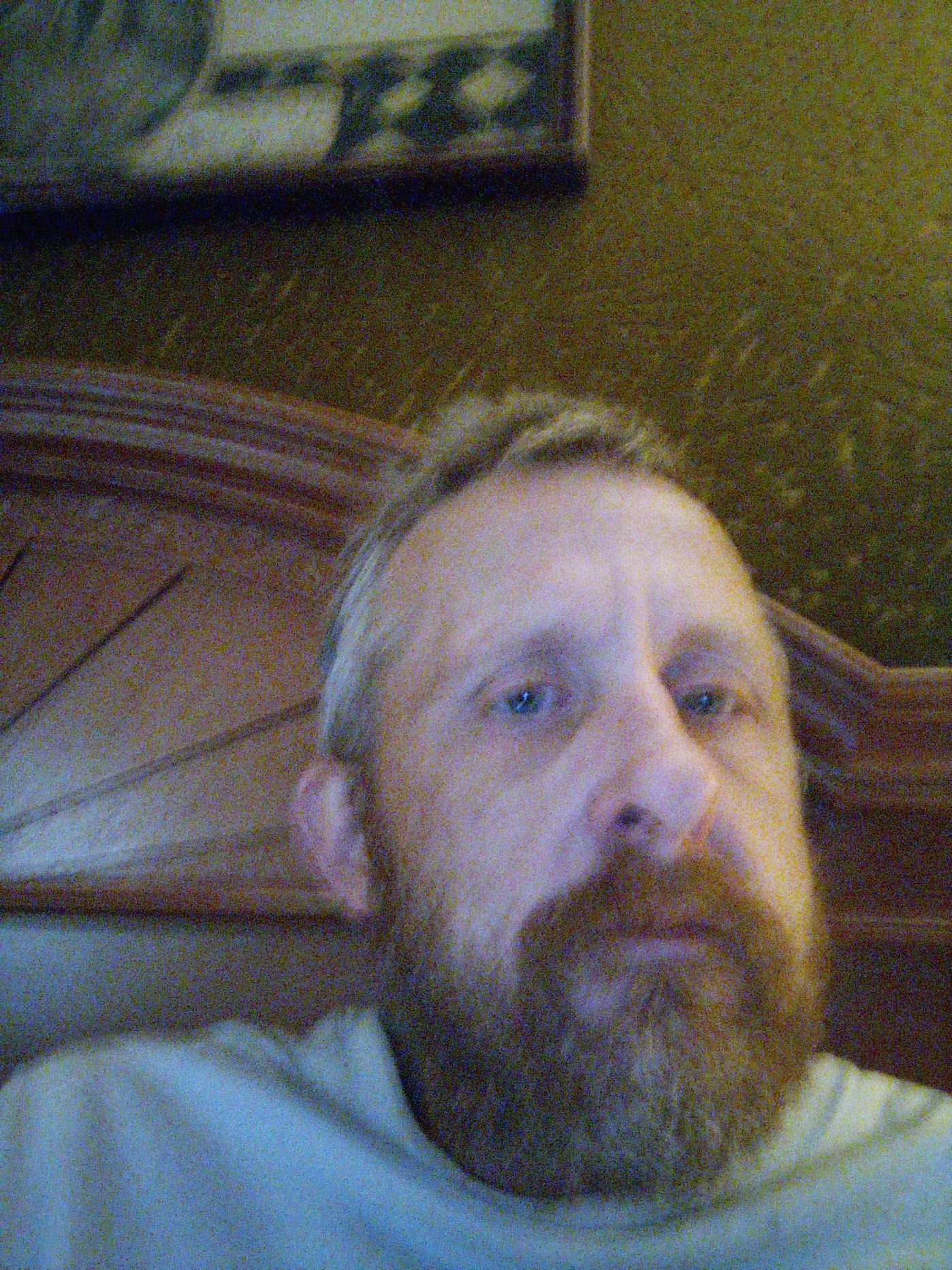 Jared Willis: eyes, hair, 44 years old | ID1453318