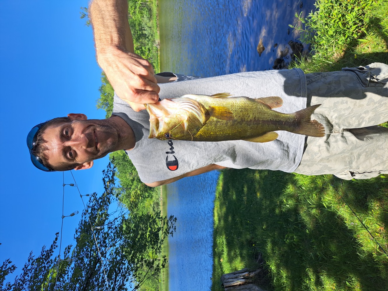 Dale C Kitter, 41 yo | eyes, hair | ID1728647