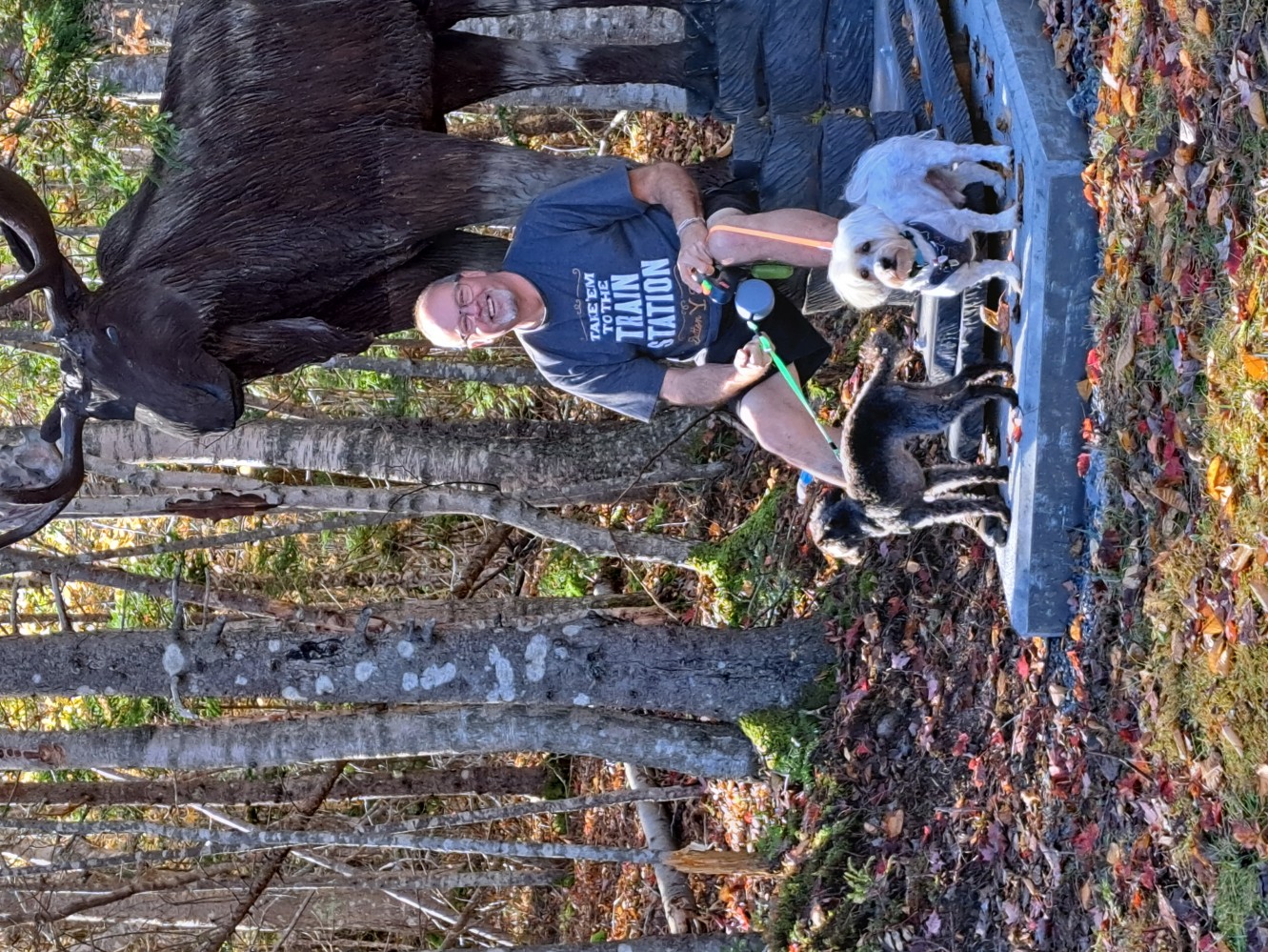 Vintage blue eyes, 70 yo | eyes, hair | ID1916226