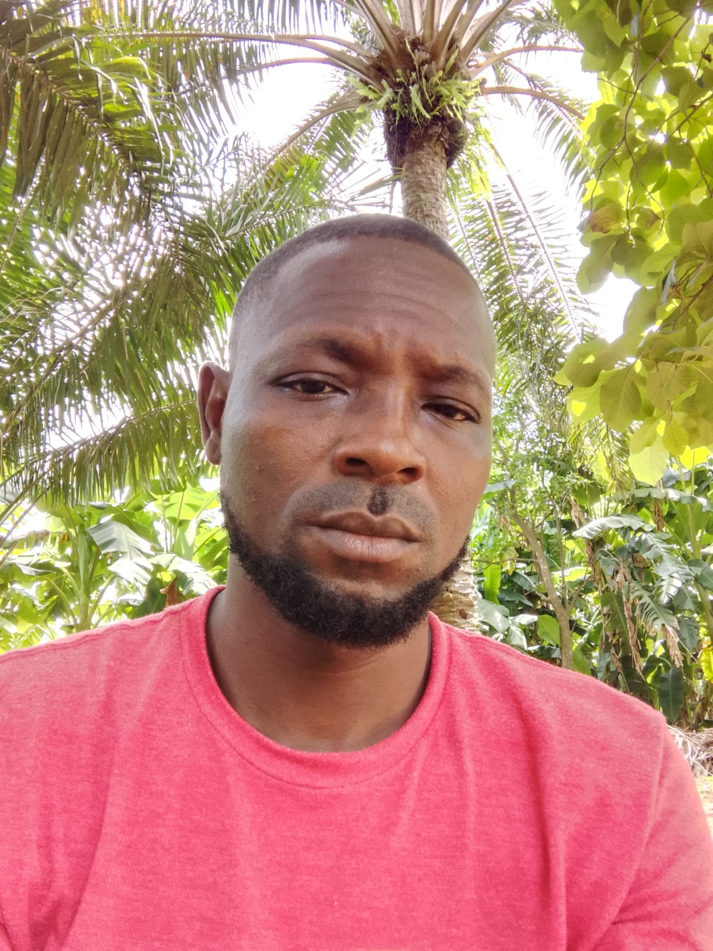 Olawuyi olayemi, 30 yo | eyes, hair | ID2158964