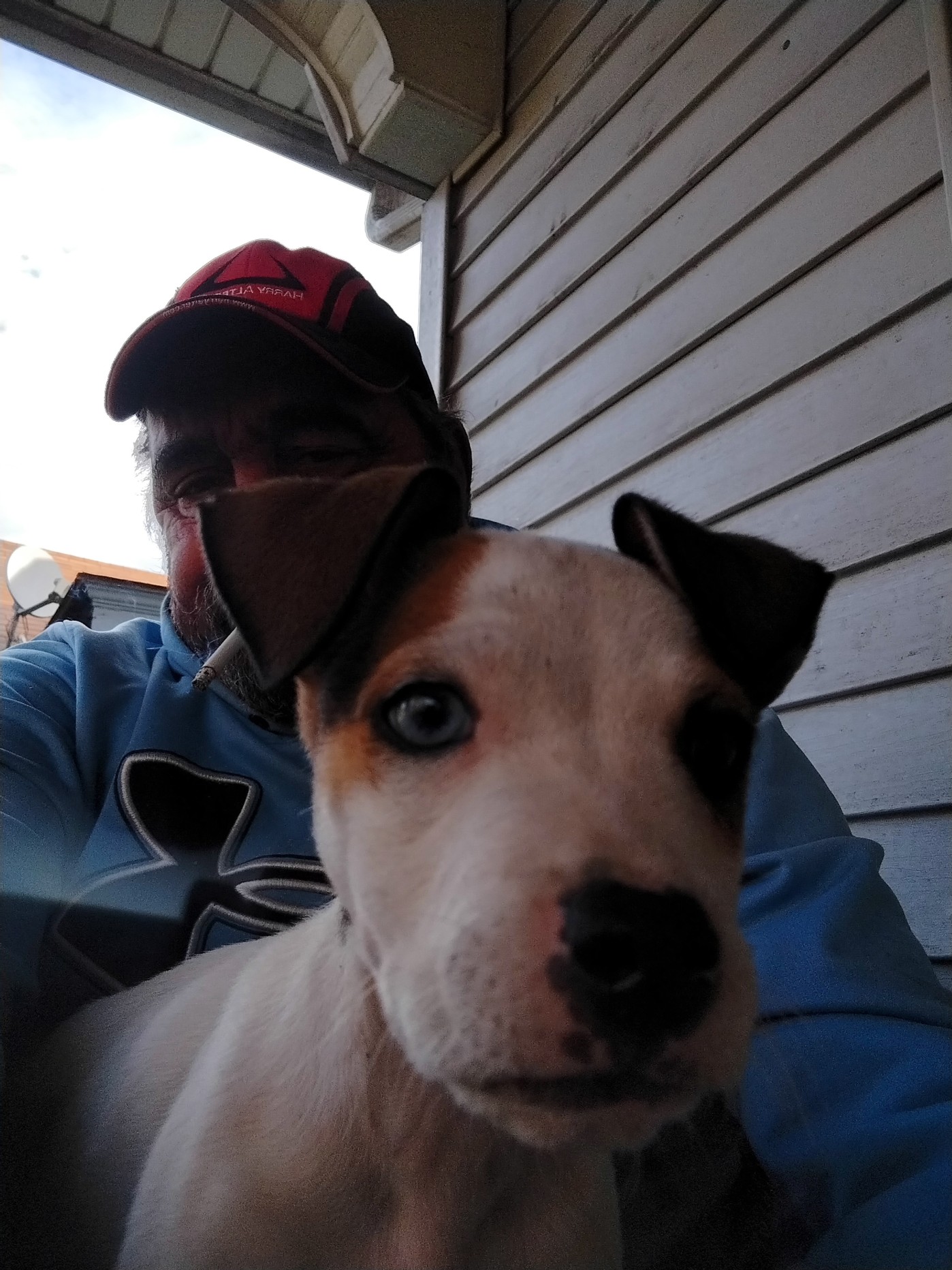 Steven Hamel: eyes, hair, 60 years old | ID2255636